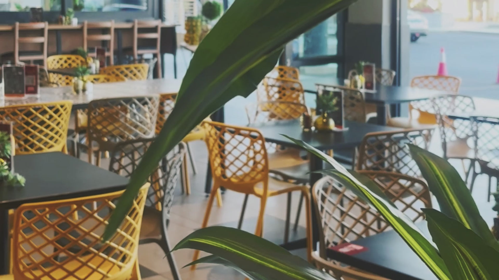 Prego & Plates – Prego & Plates